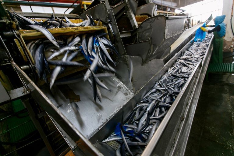 Funded project – Enzymatic conversion of seafood waste into products ...