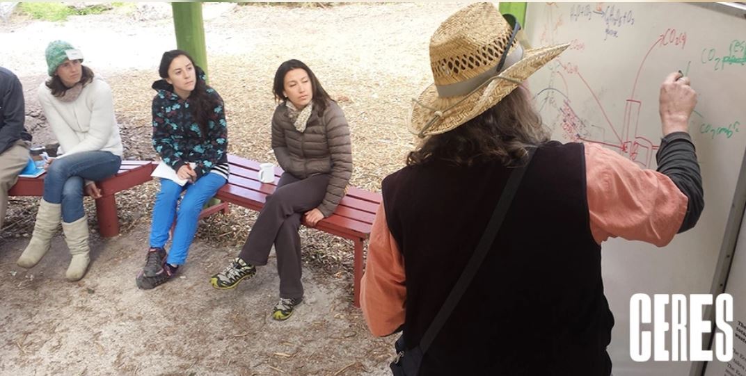 Energy Use, Climate Change and Renewable Energy | CEBIC