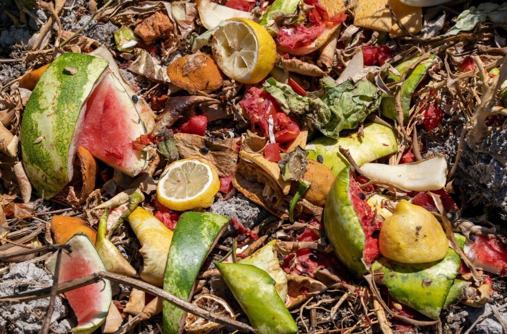 Our war on food waste | Sustainability Victoria