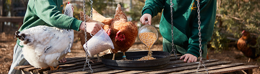 Become a ResourceSmart School | Sustainability Victoria