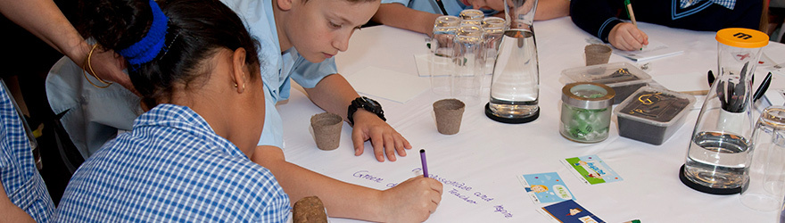ResourceSmart Schools modules | Sustainability Victoria