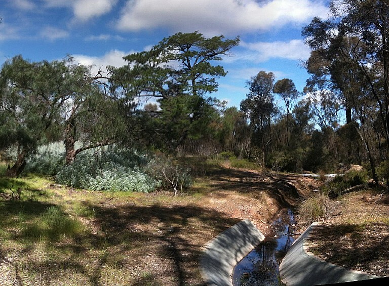 Bendigo Senior Secondary College cleans up Whipstick Forest ...