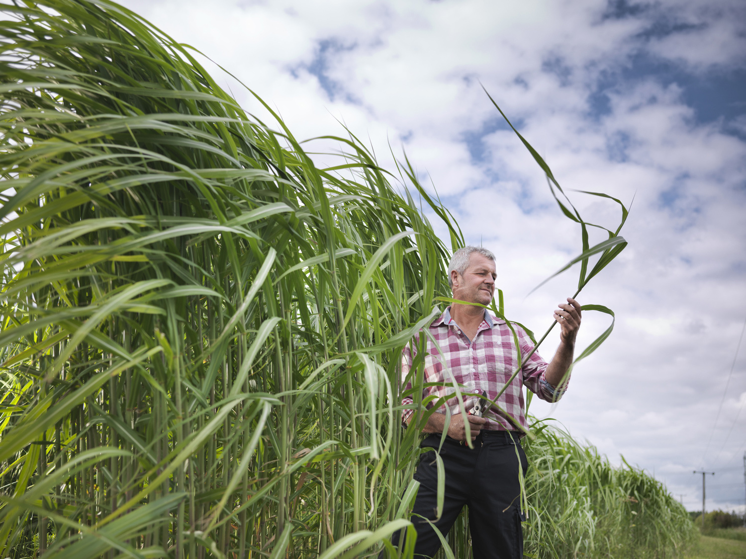 Waste to Energy Fund: Bioenergy – Stream 2: Project infrastructure ...