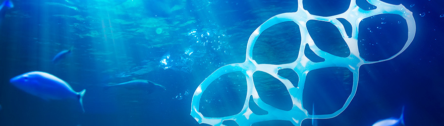 Microplastics Citizen Science Project | Sustainability Victoria